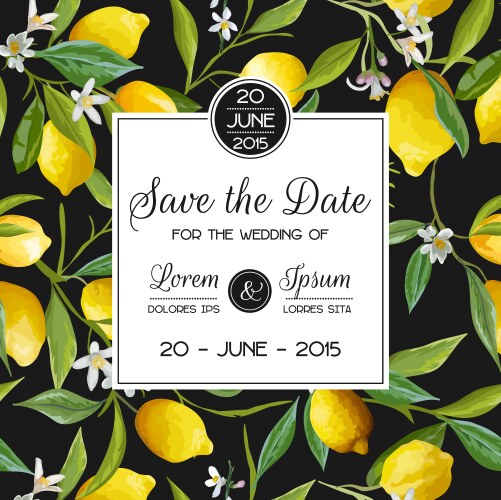 Invitation congratulation card set Royalty Free Vector Image