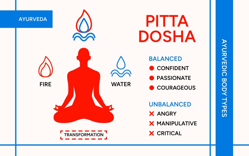 Tridosha theory ayurvedic human body types system Vector Image