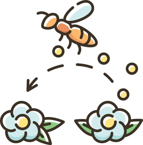 Diagram showing pollination with flower and bee Vector Image