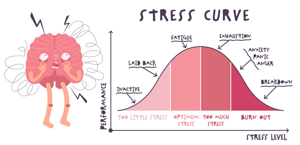 Stress Impact - Medical Infographic – Royalty-Free Vector | VectorStock