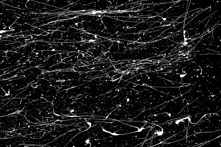 White paint splatter Royalty Free Vector Image