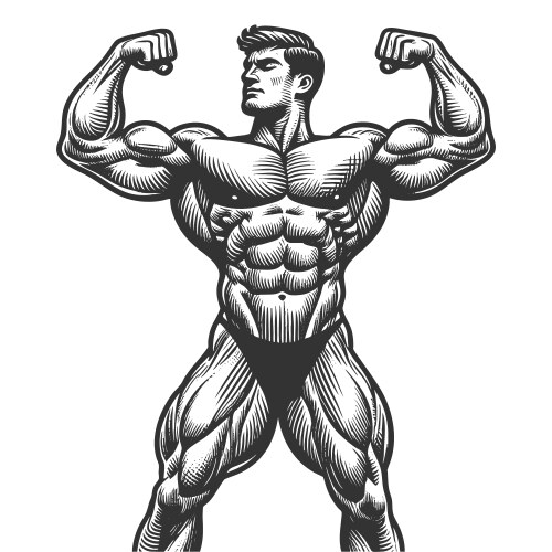 Flexing Muscles Illustrations Royaltyfree Vector Muscle Man Vector