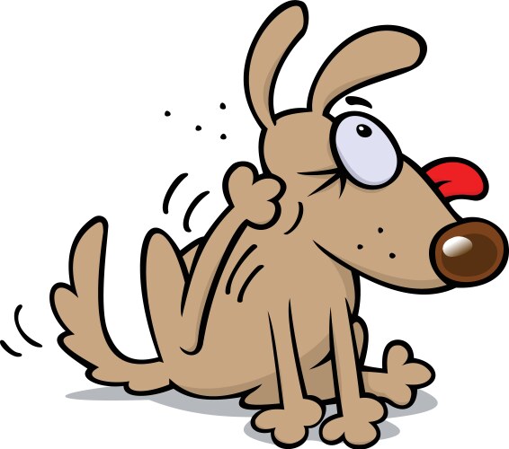 Dog and flea cartoon Royalty Free Vector Image