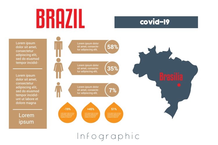 Brazil for travelers infographic flat poster Vector Image