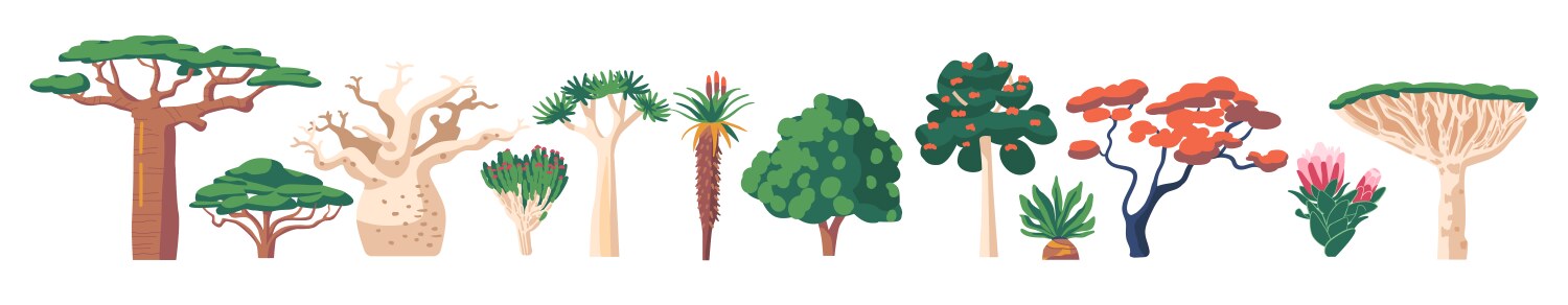 African tree Royalty Free Vector Image - VectorStock