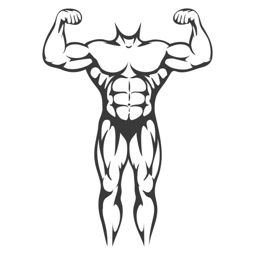 Bodybuilder flexing muscle pose Royalty Free Vector Image