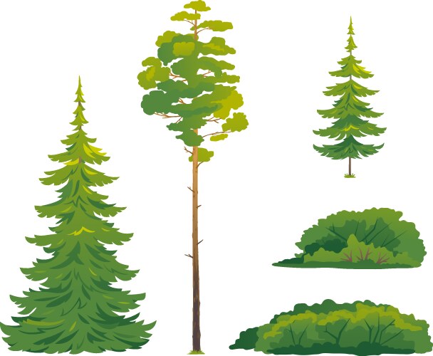 Spring or summer forest background with stylized Vector Image