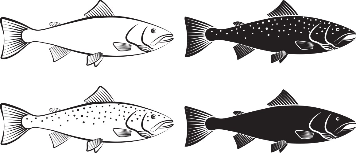 Salmon Vector Images (over 68,000)