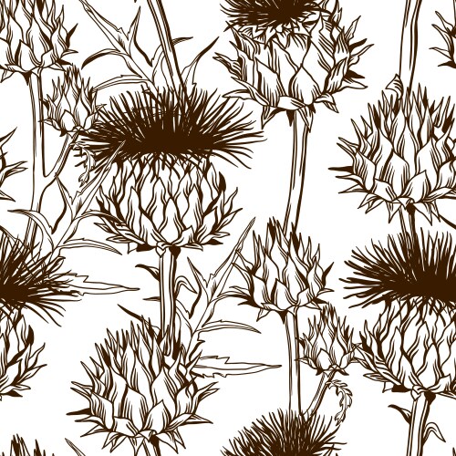 Scottish Thistle Vector Images (over 310)
