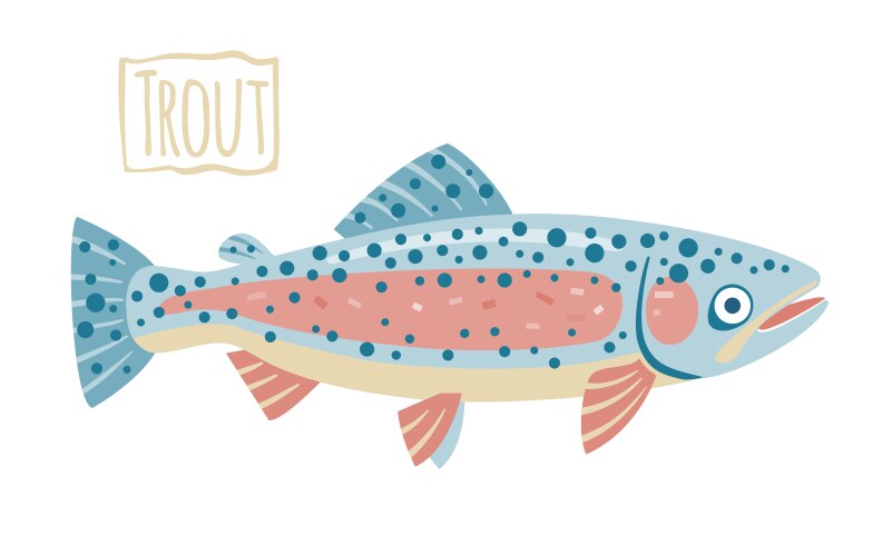 Trout Vector Images (over 13,000)