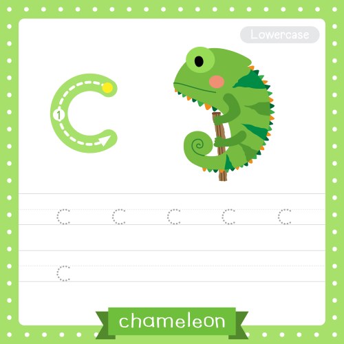 Letter c lowercase tracing practice worksheet Vector Image