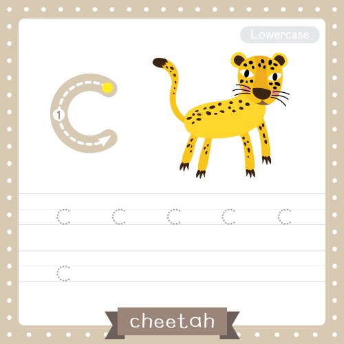 Letter c lowercase tracing practice worksheet Vector Image