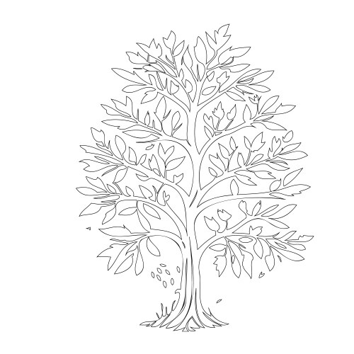 Maple tree nature outline sketch Royalty Free Vector Image