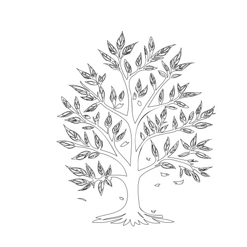 Maple tree nature outline sketch Royalty Free Vector Image