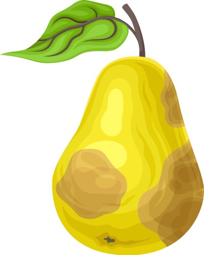 Rot Clipart Vector Images (over 100)