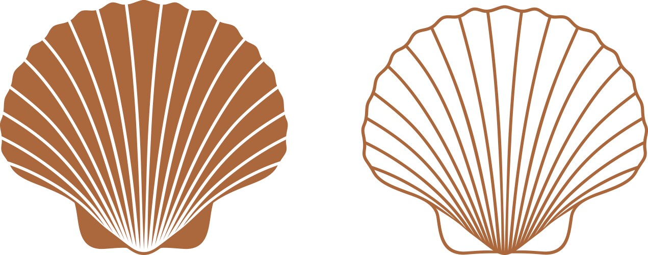 Scallop Royalty Free Vector Image - VectorStock