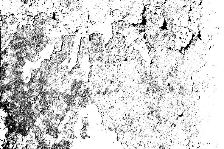 Whitewash texture overlay Royalty Free Vector Image