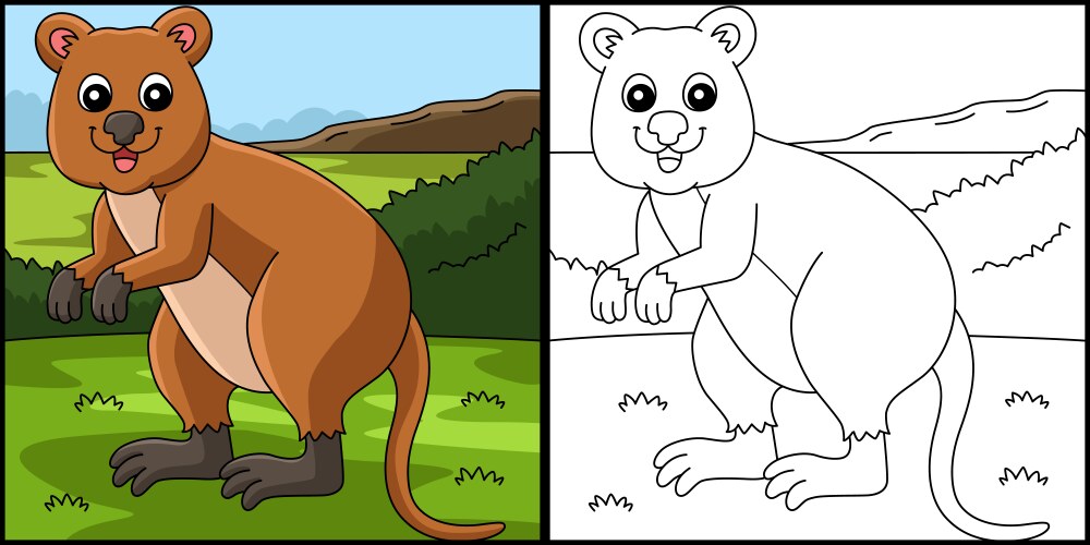 Quokka animal coloring page isolated for kids Vector Image