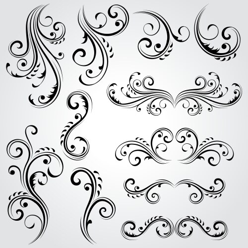 Floral design elements Royalty Free Vector Image
