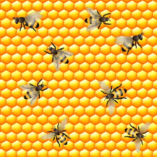 Honey Bee Vector Images (over 62,000)