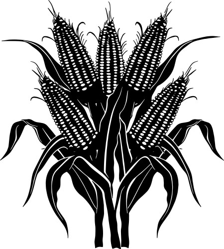 Corn Stalk Silhouette Vector
