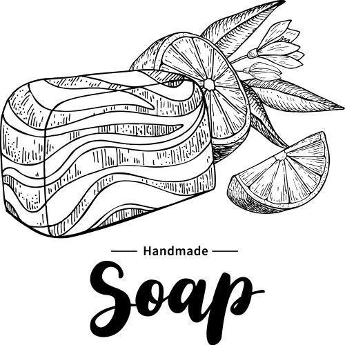 Handmade natural soap hand drawn Royalty Free Vector Image