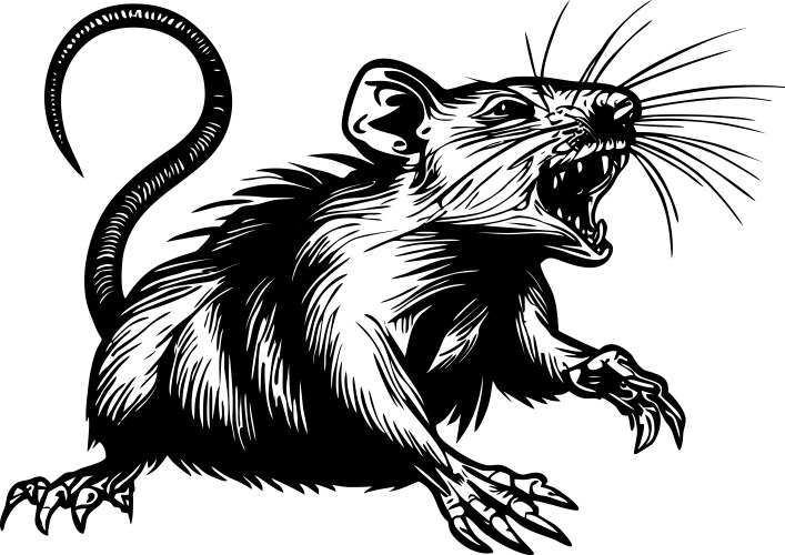 Aggressive Rat - Dark Horror Drawing – Royalty-Free Vector | VectorStock
