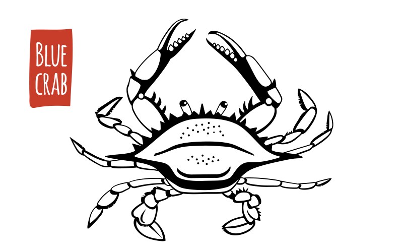 Free Blue Crab Vector Images (over 150)