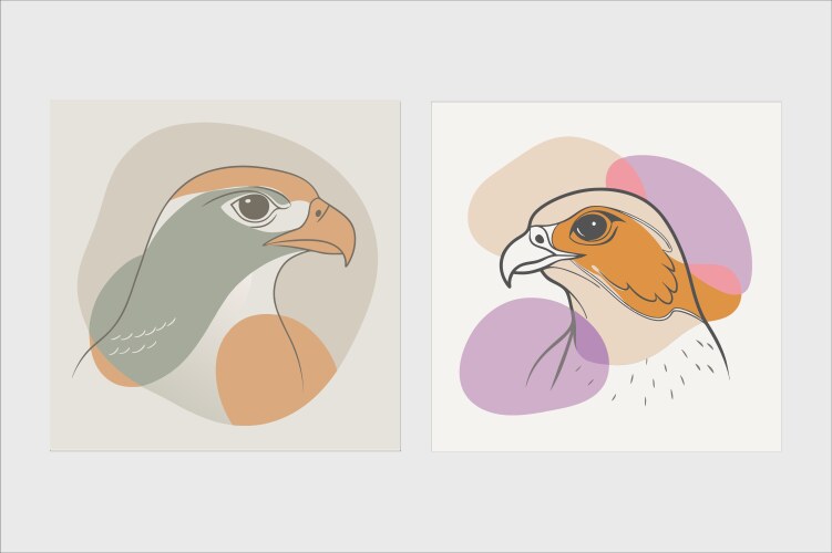 Falcon Vector Images (over 32,000)