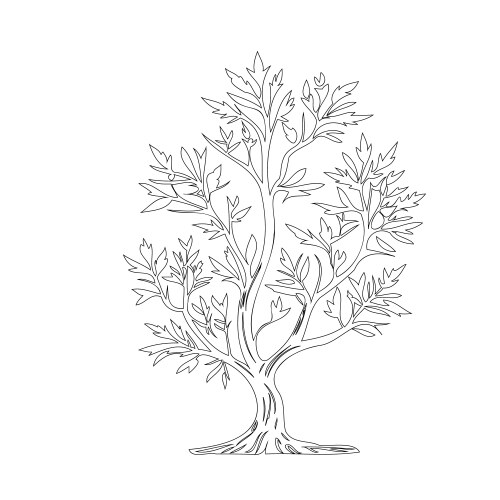 Maple Leaf Outline Vector Images (over 10,000)