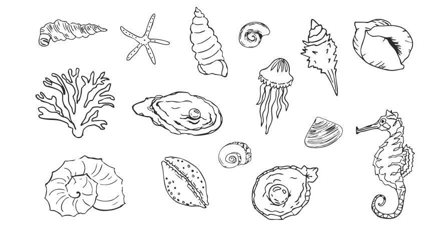Sea shell sketch ocean life hand drawn Royalty Free Vector