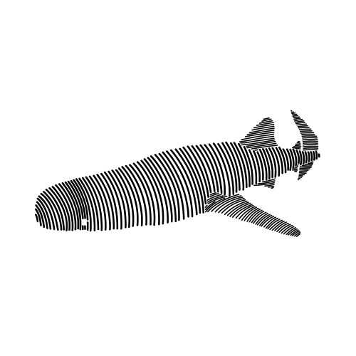 Shark Outline Vector Images (over 6,500)