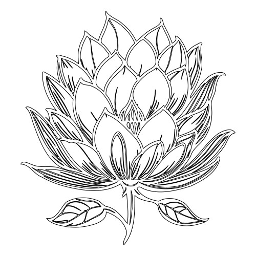 Lotus Outline Vector Images (over 16,000)