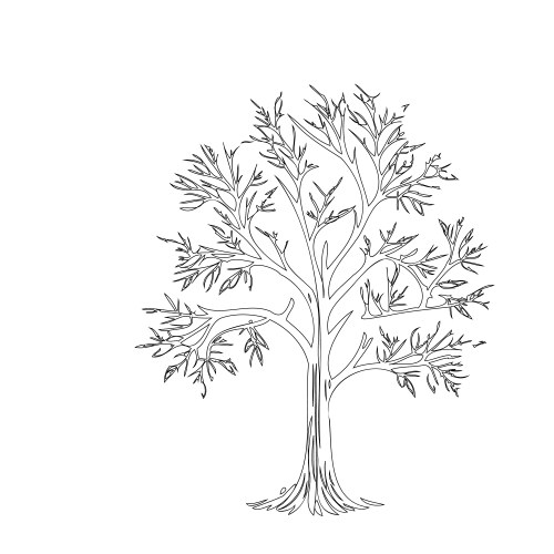 Maple Leaf Outline Vector Images (over 10,000)