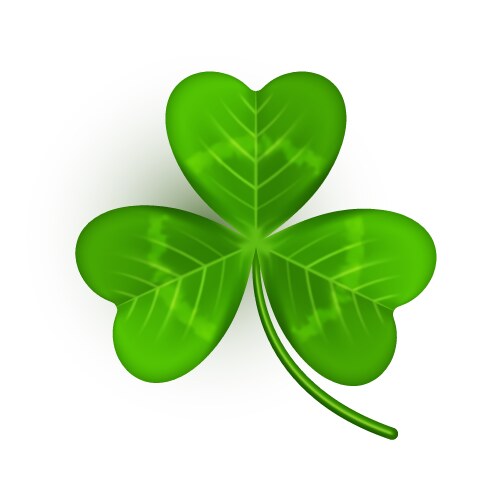 Realistic shamrock icon clover three leaves logo Vector Image