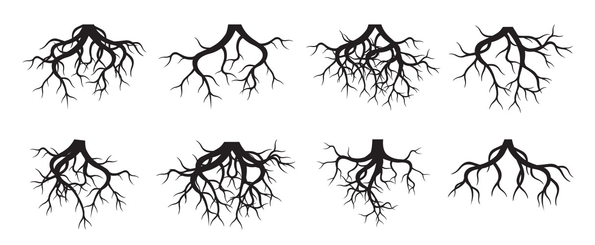 Drawing of Plant Roots Vector Images (over 15,000)