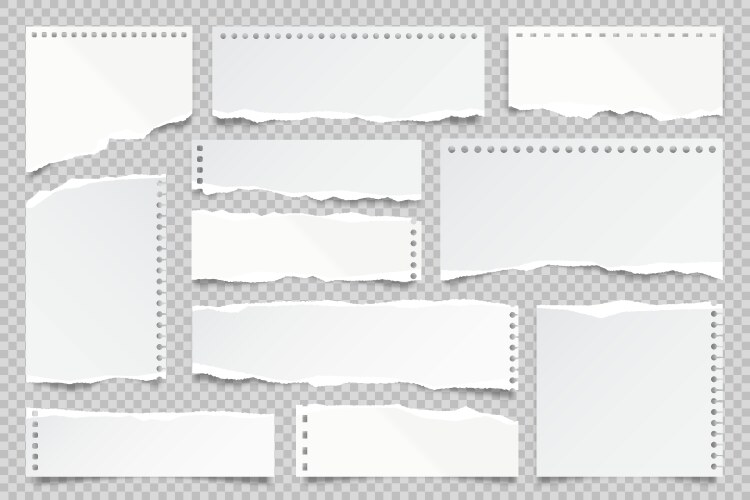 Notebook papers with torn ripped edge set Vector Image