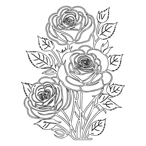 Roses flower outline sketch Royalty Free Vector Image