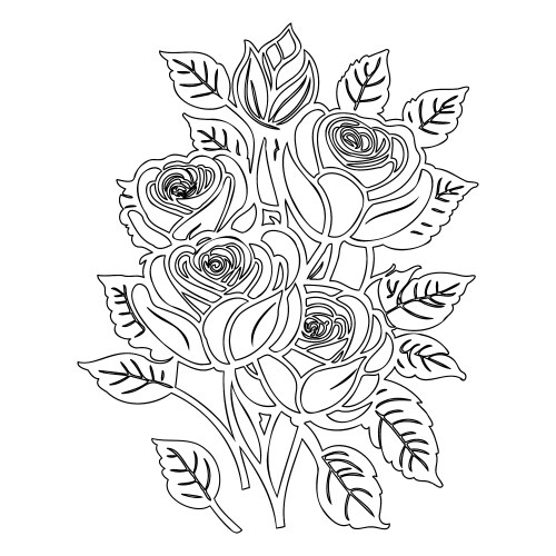 Roses flower outline sketch Royalty Free Vector Image