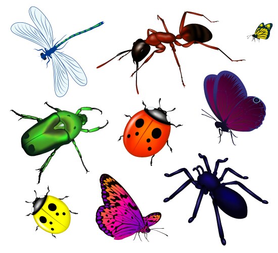 Cartoon Insects Vector Images (over 84,000)