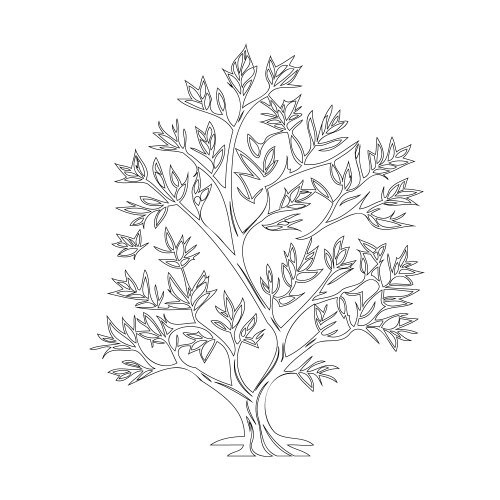 Maple Leaf Outline Vector Images (over 10,000)