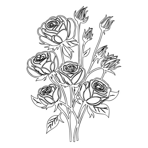 Roses flower outline sketch Royalty Free Vector Image