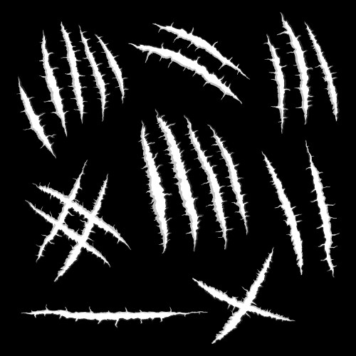 Claw Mark Vector Images (over 3,400)