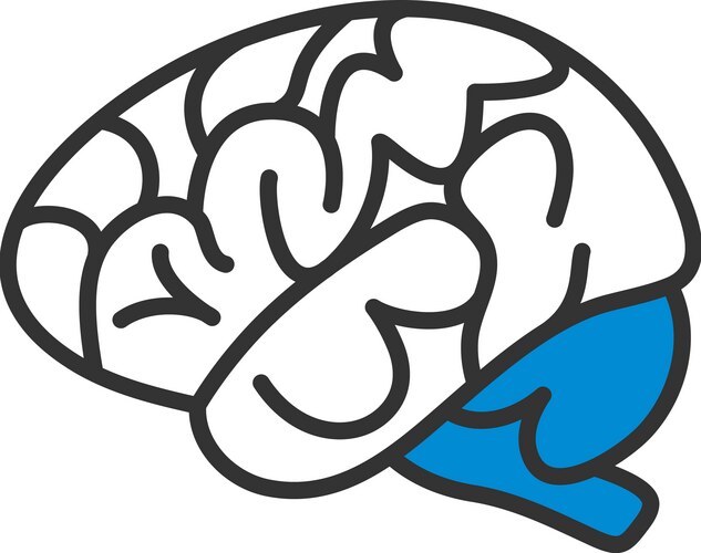 Old brain and memory loss Royalty Free Vector Image