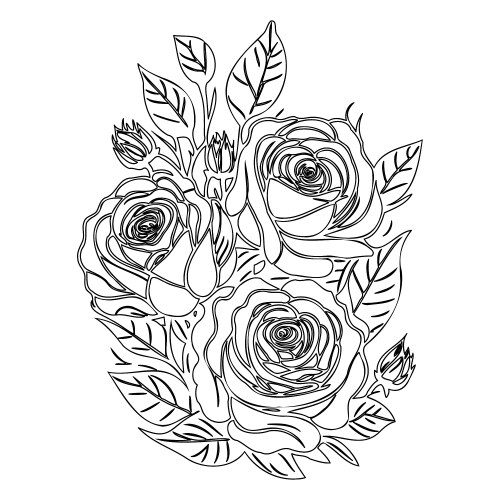 Roses flower outline sketch Royalty Free Vector Image