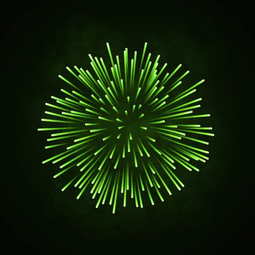 Beautiful green firework bright isolated Vector Image