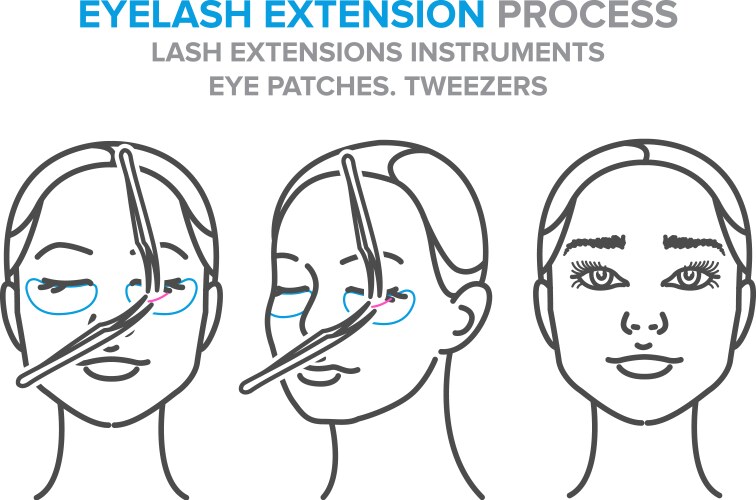 Eyelash Extension Types Royalty Free Vector Image