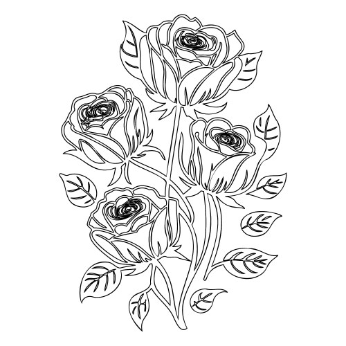 Roses flower outline sketch Royalty Free Vector Image