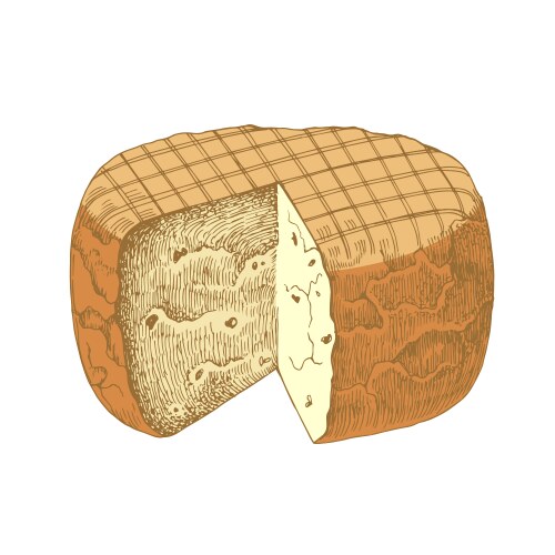 Round Cheese Vector Images (over 7,100)