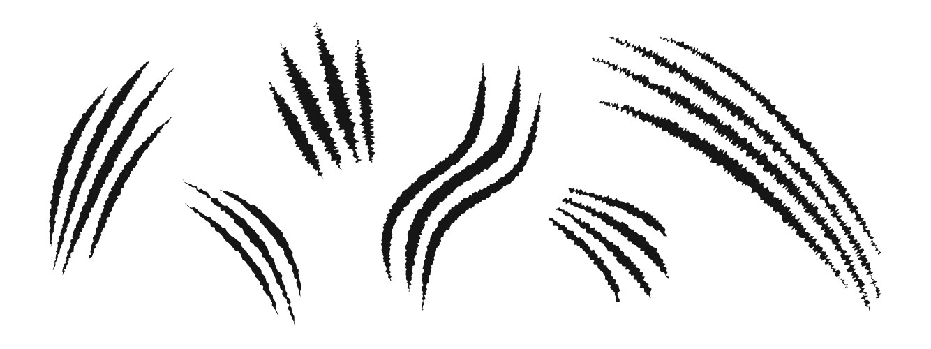 Bear Claw Scratch Vector Images (over 910)